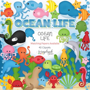 OCEAN LIFE Clipart and Papers Kit, 40 Png Clip Arts, 24 Jpeg Papers ...
