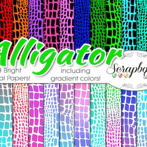 ALLIGATOR BRIGHT Digital Papers, 24 Pieces, Including Gradient Ombre ...