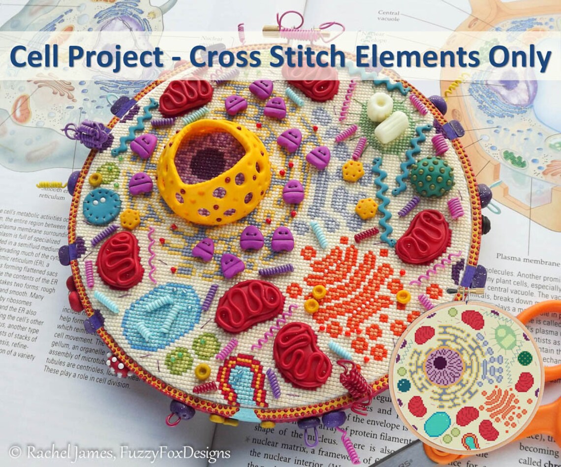 Animal Cell Cross Stitch Pattern PDF Cross Stitch Elements - Etsy