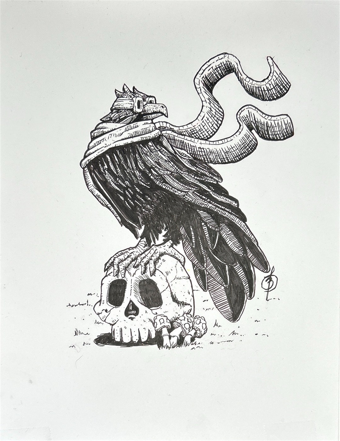 Raven Skull Ink Drawing. This Hand Drawn Desert Raven Was Painted With ...