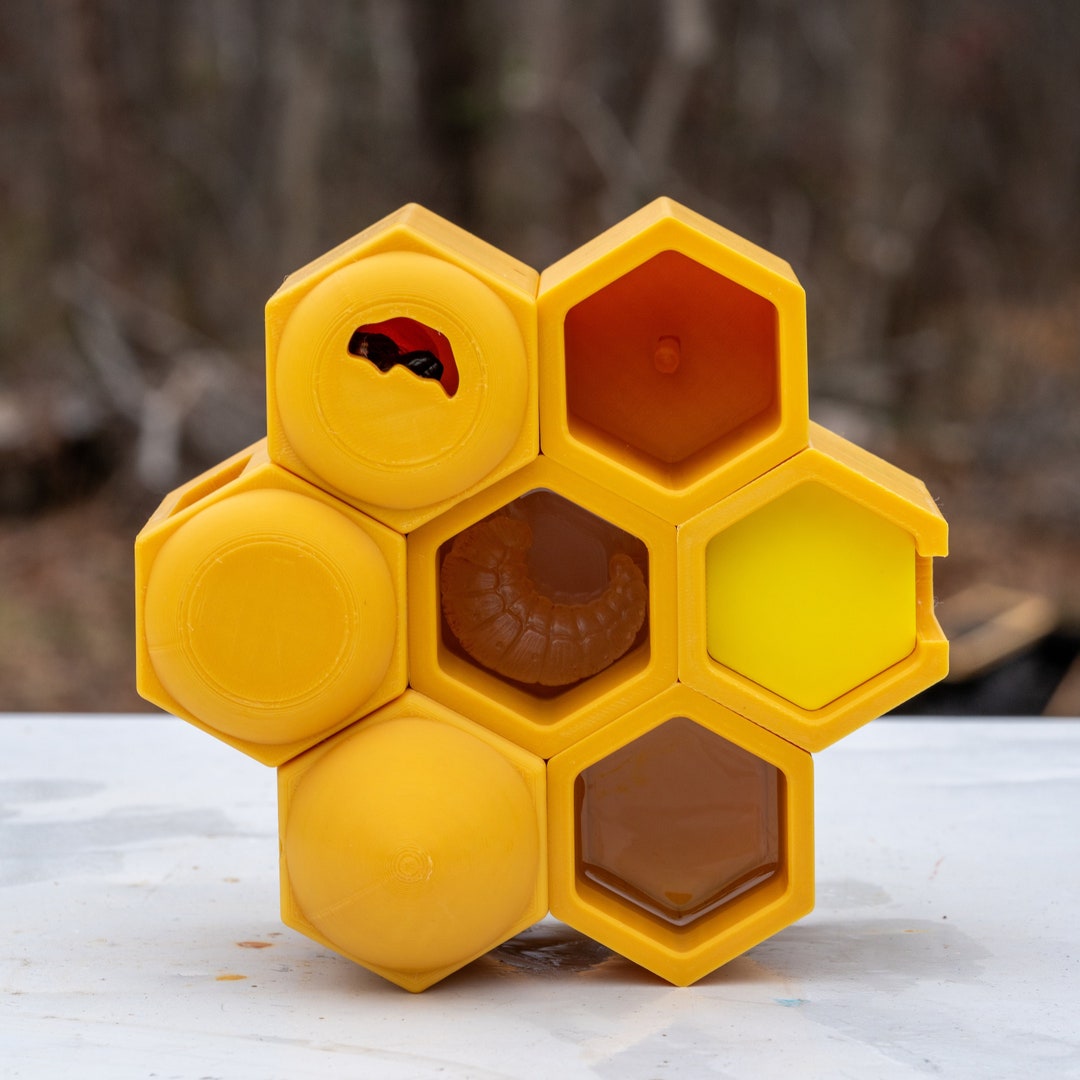 Life in the Hive: A Hands-on Honey Bee Learning Kit for Beekeepers - Etsy