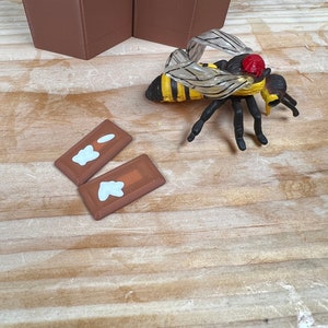 Model of Deformed Wing Virus Bee With Mite Frass - Etsy