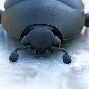 3D Printed Small Hive Beetle - Etsy