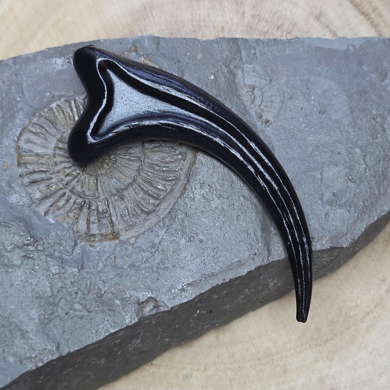 Raptor Claw Jurassic Park Prop Replica - 90s Dinosaur Movies Films ...