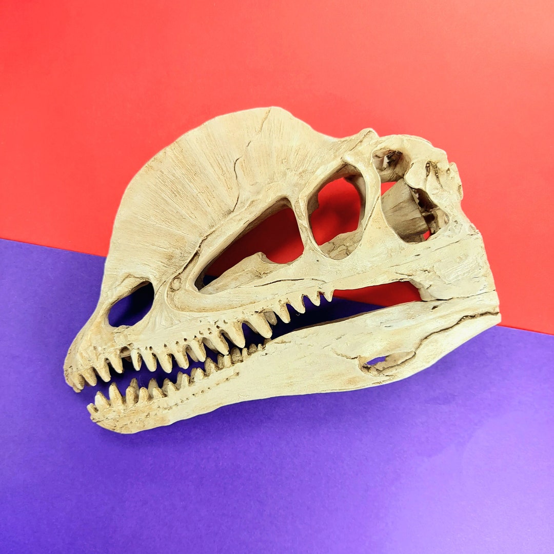 Dilphosaurus Skull Prop, Replica Jurassic Park World, Dinosaur Trex ...