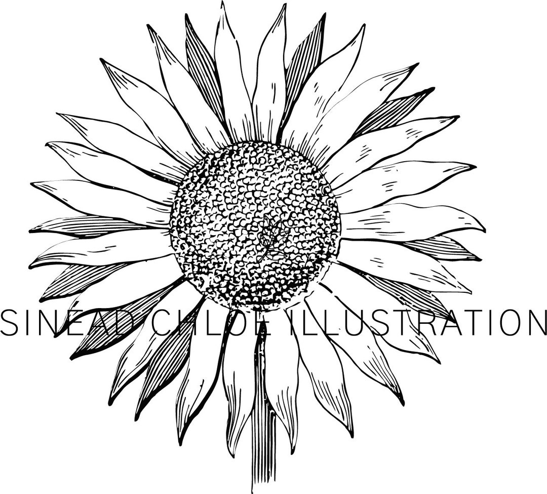 Sunflower SVG - Instant Download. Use Anywhere. - Etsy