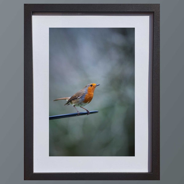 Robin Photo Frame - Etsy UK