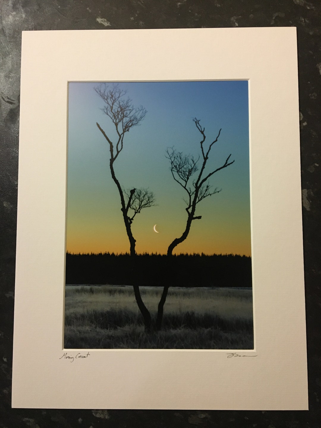 Morning Crescent, Astrophotography Print - Etsy