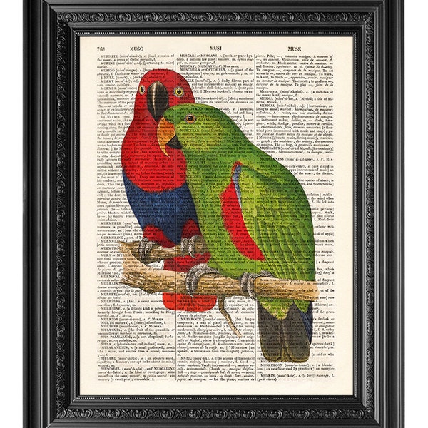 Parrot Poster - Etsy
