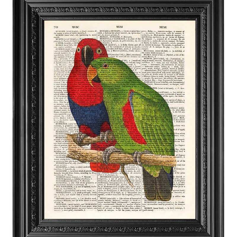 Parrot Poster - Etsy