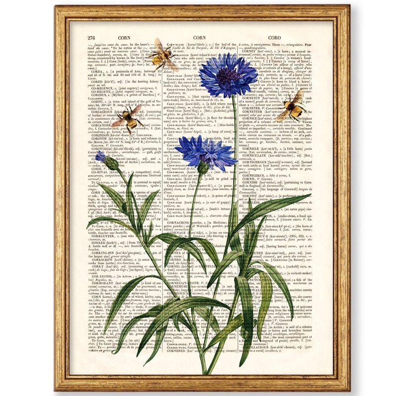 Antique Book Print - Etsy