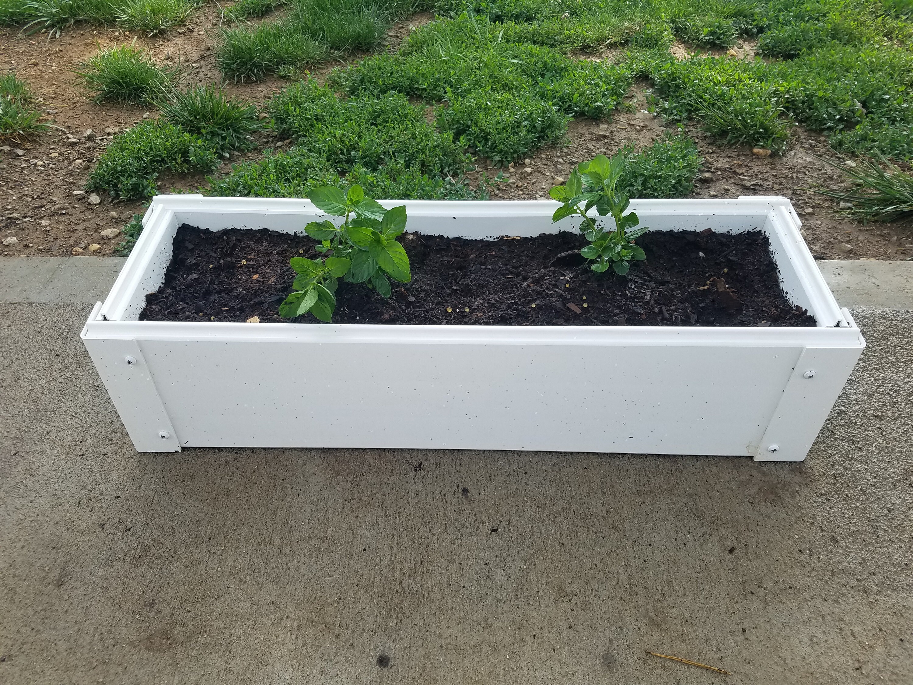 Handy Bed Mini Raised Garden Bed Kit - Etsy