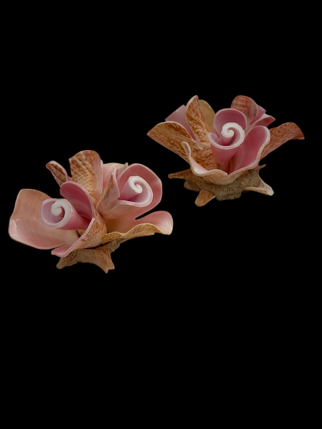 Set of 2 Mexican Conch Shell Hand Cut Flowers Souvenir Figures Display ...
