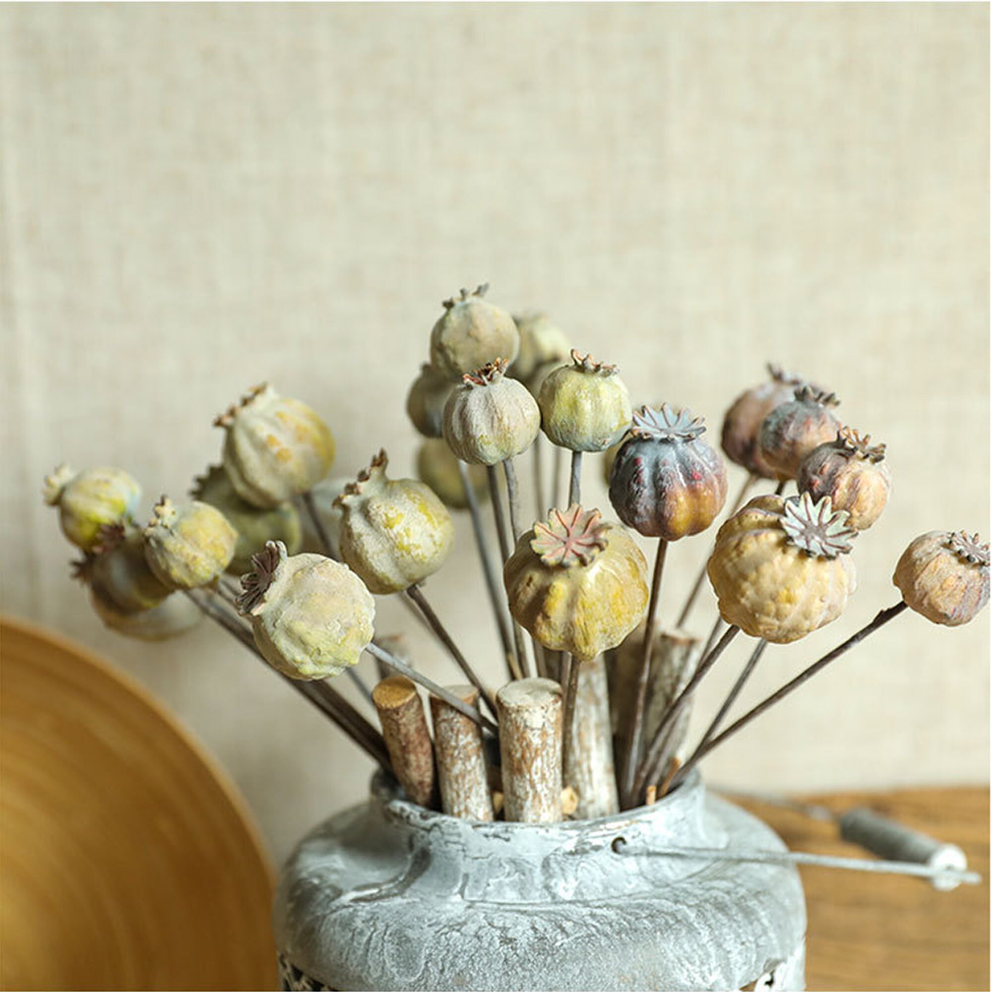 Dried Opium Poppy