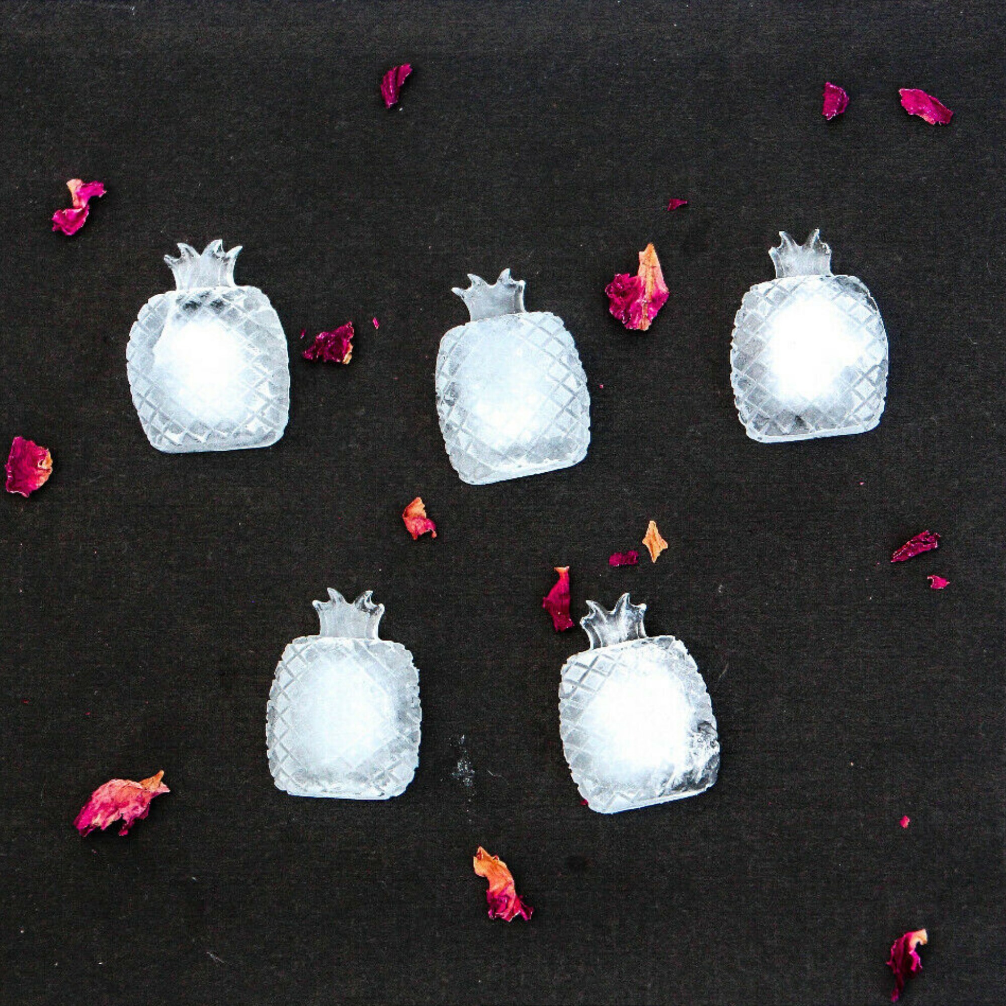 Pineapple Silicone Ice Cube Tray Freeze Jelly Puddin Chocolate | Etsy