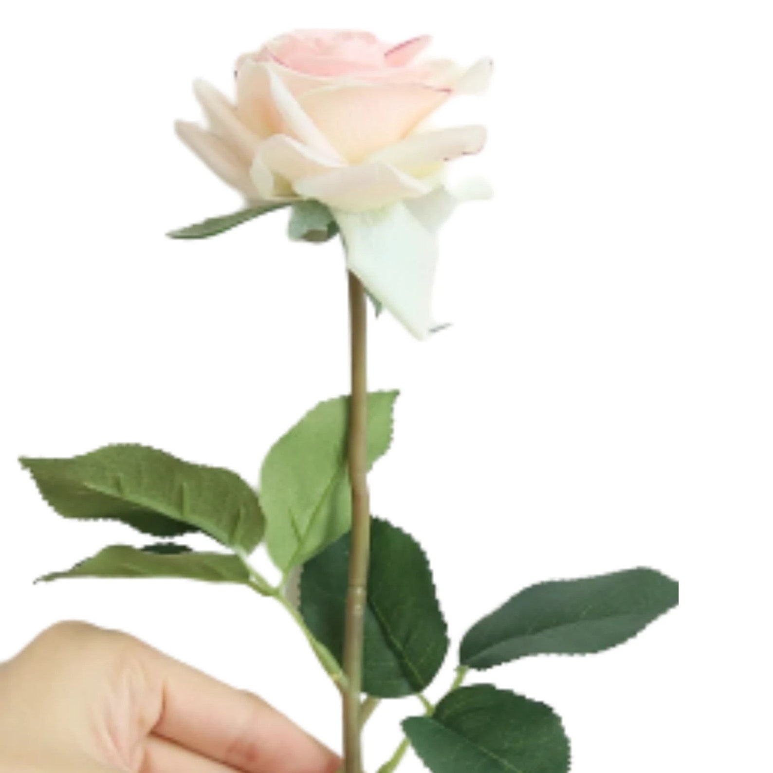 Einzelner Stiel echte Berührung Einzelne Rose Künstliche - Etsy.de