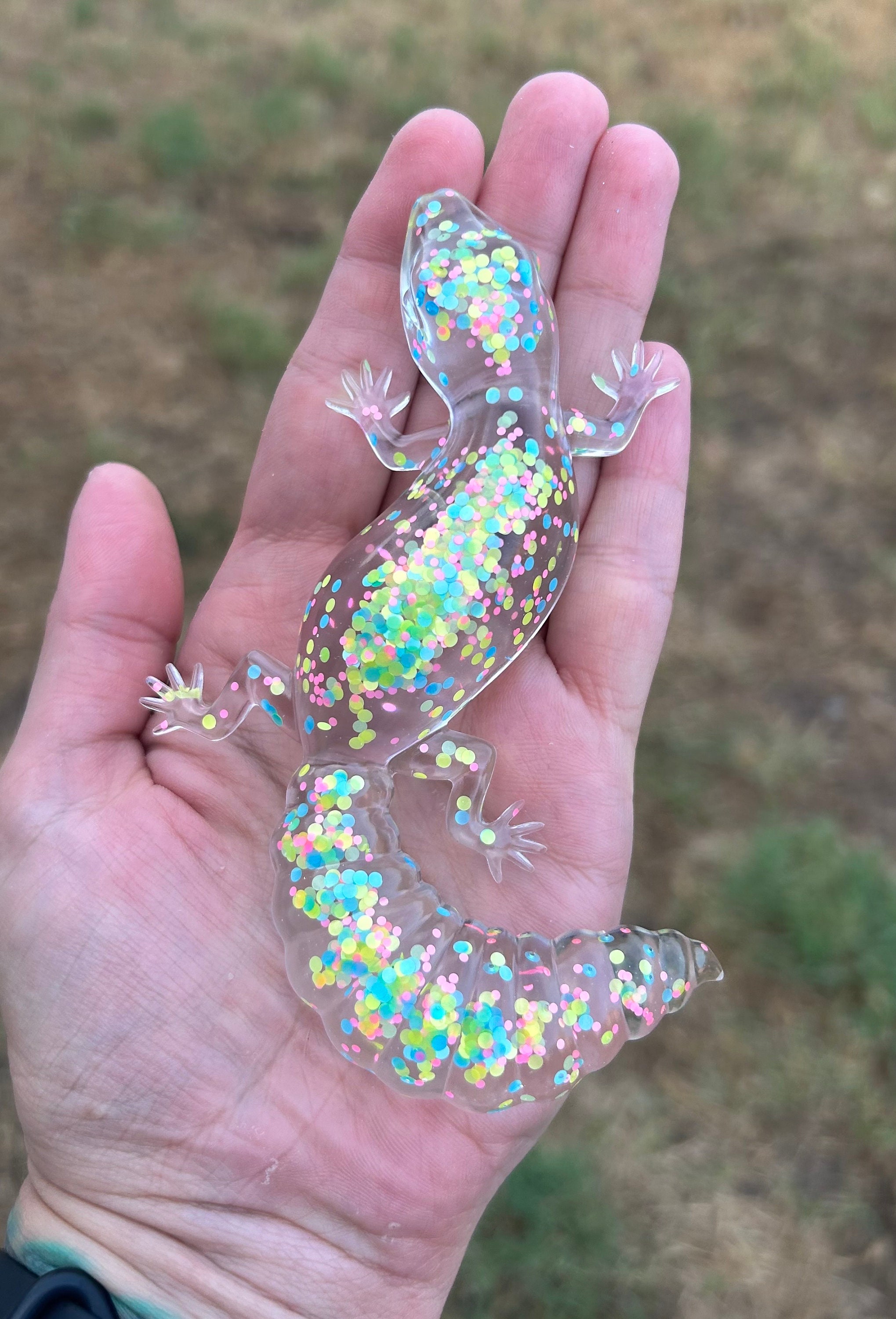 Rainbow Leopard Gecko