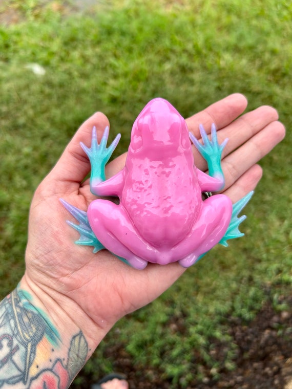 Pink Poison Dart Frogs