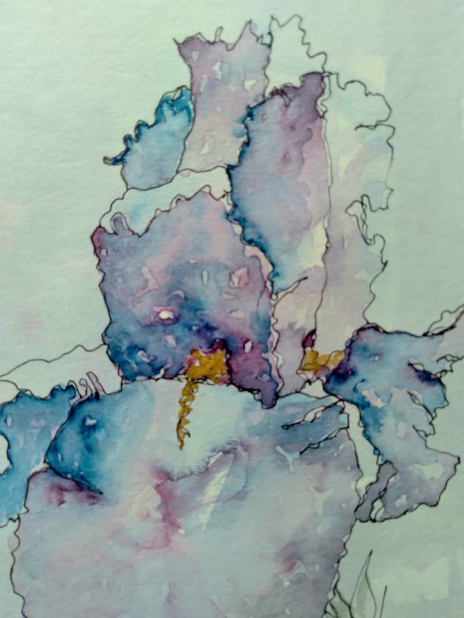 Original Iris Ink Pen and Watercolor Painting Blue Iris - Etsy