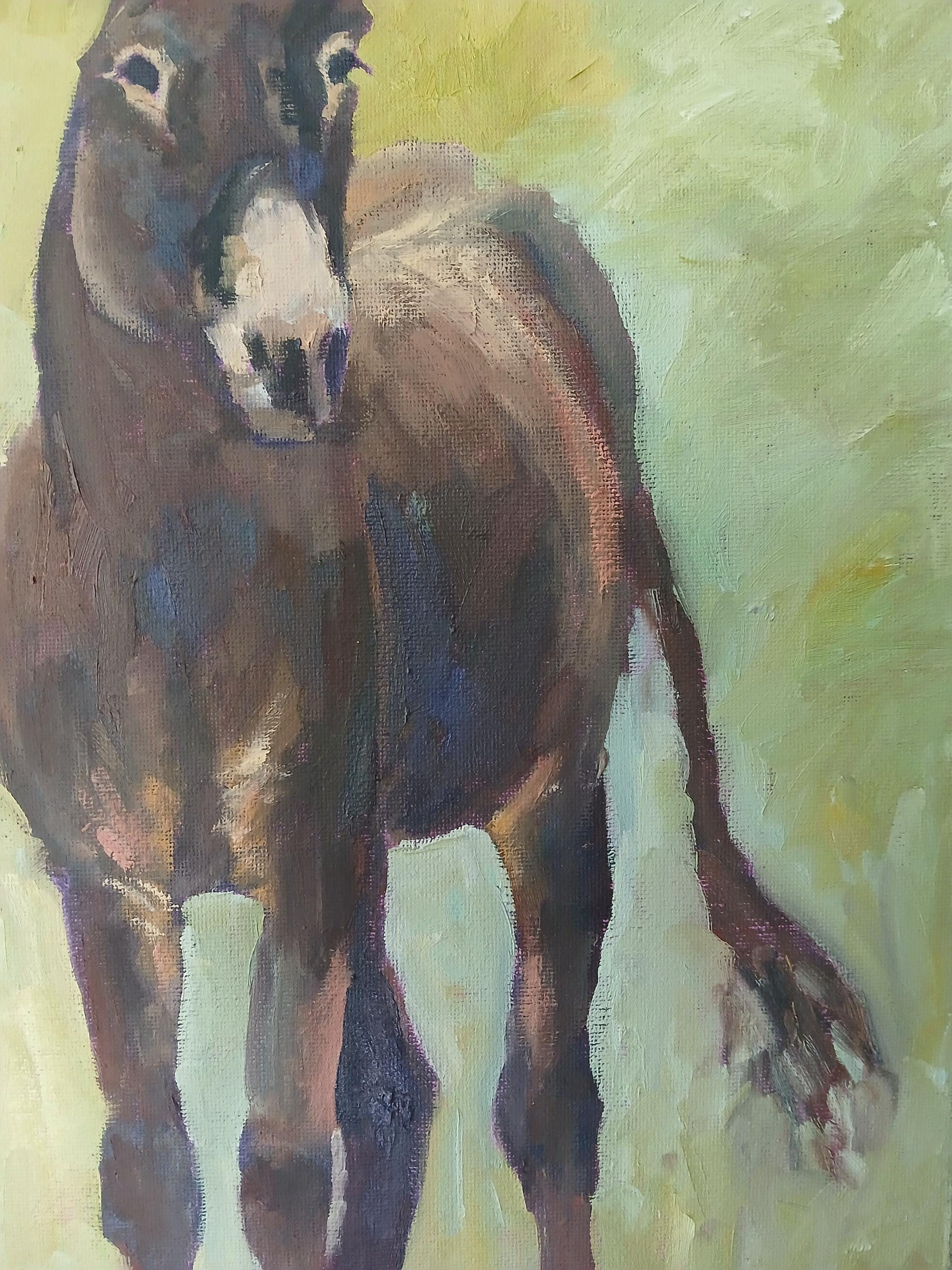 Original Donkey/mule Oil Painting, Horse Artwork, Foal Paintings ...