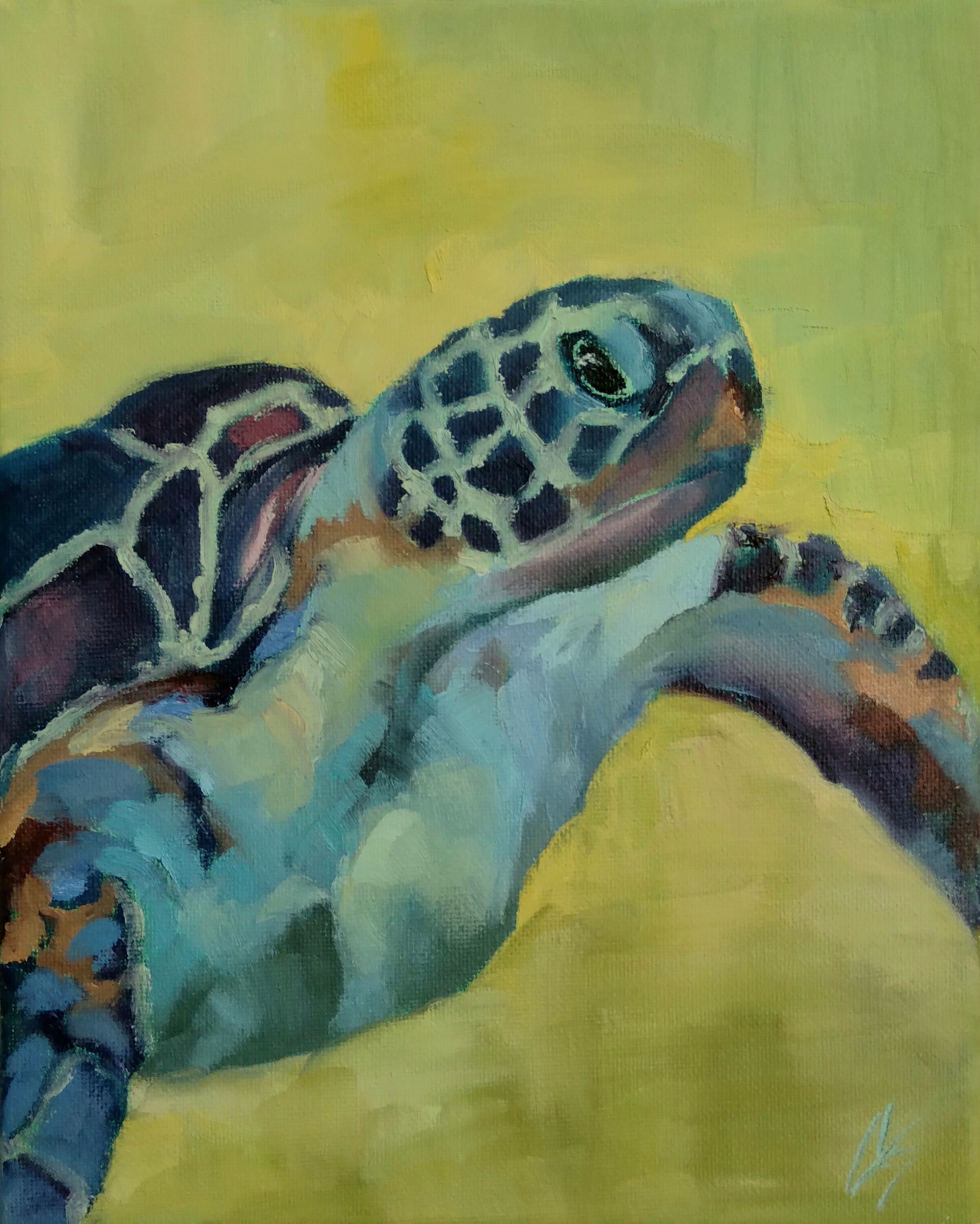 Turtle Oil Painting