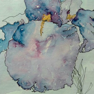 Original Iris Ink Pen and Watercolor Painting Blue Iris - Etsy