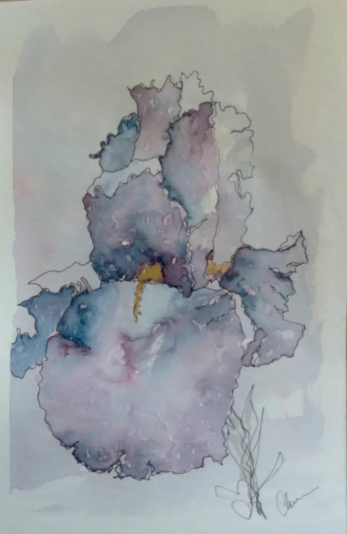 Original iris ink pen and watercolor painting blue iris | Etsy