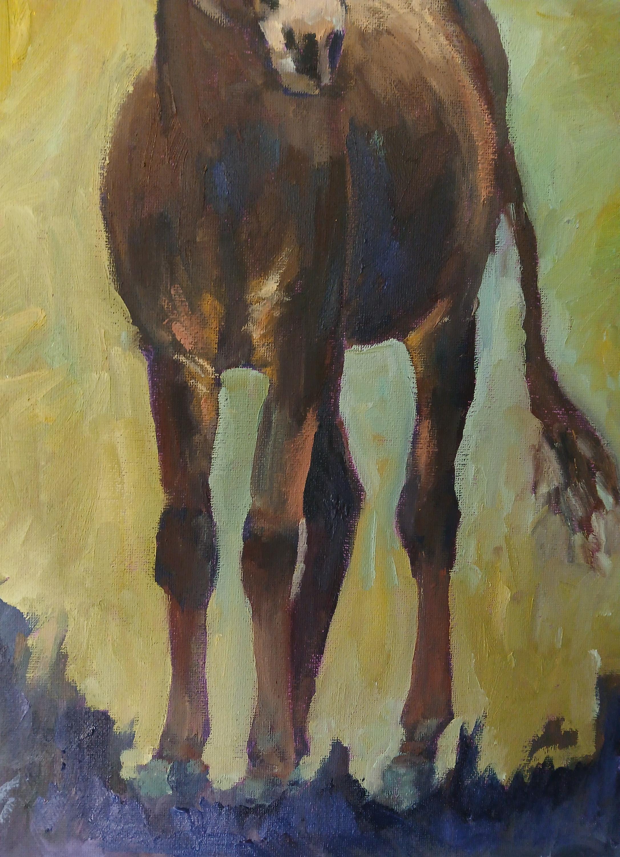 Original Donkey/mule Oil Painting, Horse Artwork, Foal Paintings ...