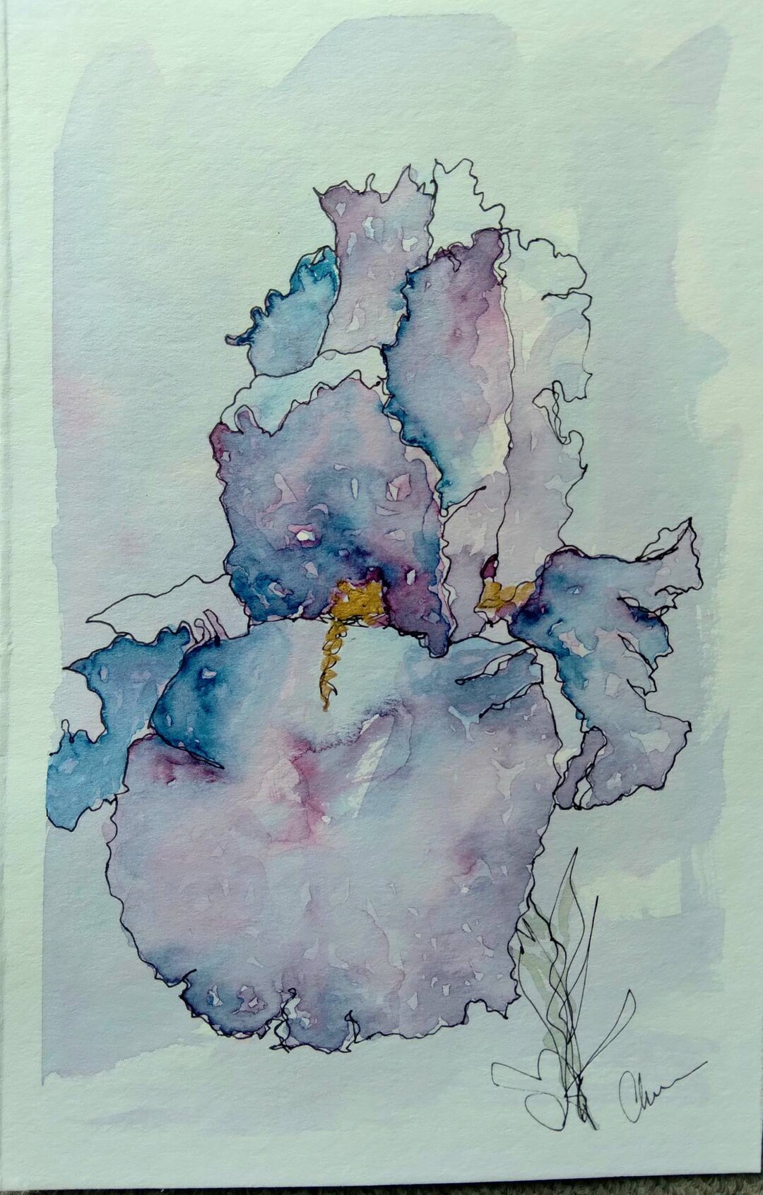 Original Iris Ink Pen and Watercolor Painting Blue Iris - Etsy