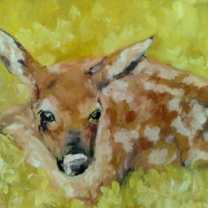 Original Fawn Oil Painting, Deer Artwork, Wildlife Paintings - Etsy