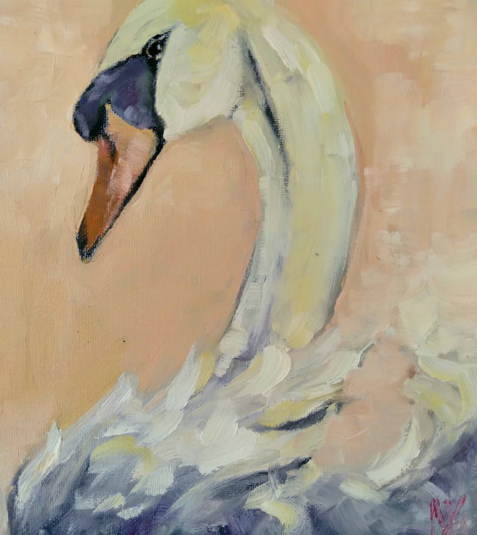 Original Swan Oil Painting Waterfowl Paintings Wildlife - Etsy