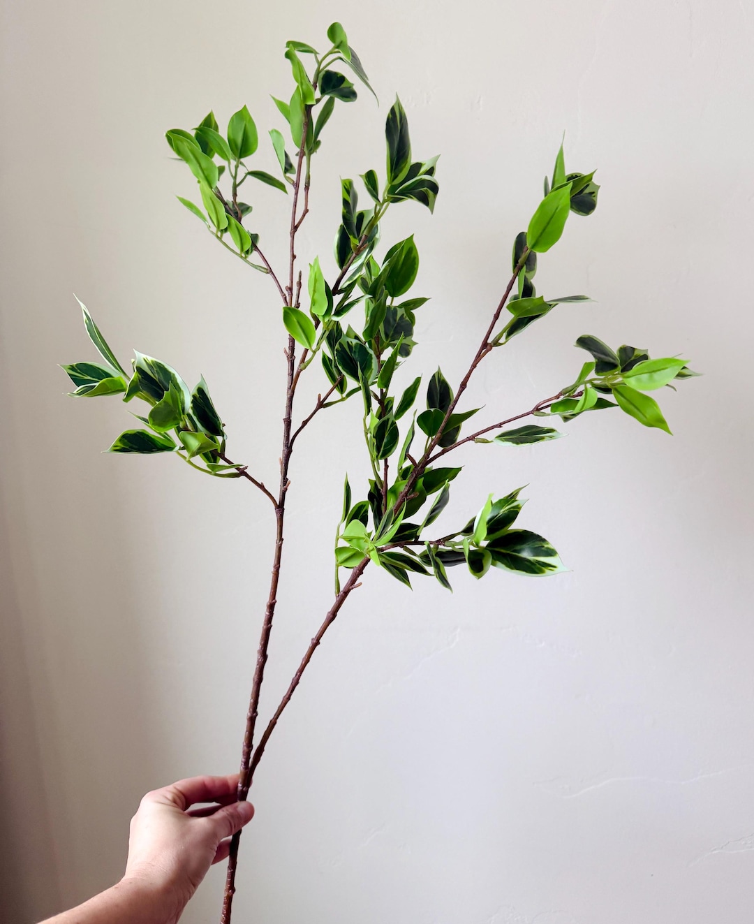 Artificial Greenery Stem, Filler Greenery for Wreath Making or Flower ...