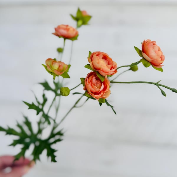 Silk Ranunculus - Etsy