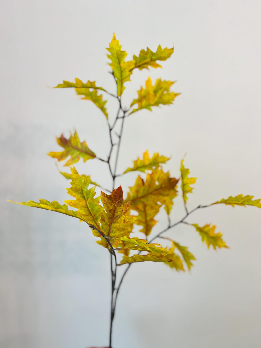 Fall Yellow Oak Leaf Branch, Artificial Fall Foliage for for Wreath ...