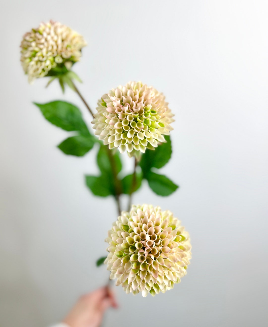 Blush Pink Cream and Green Dahlia Stem, Faux Spring and Summer Blooms ...