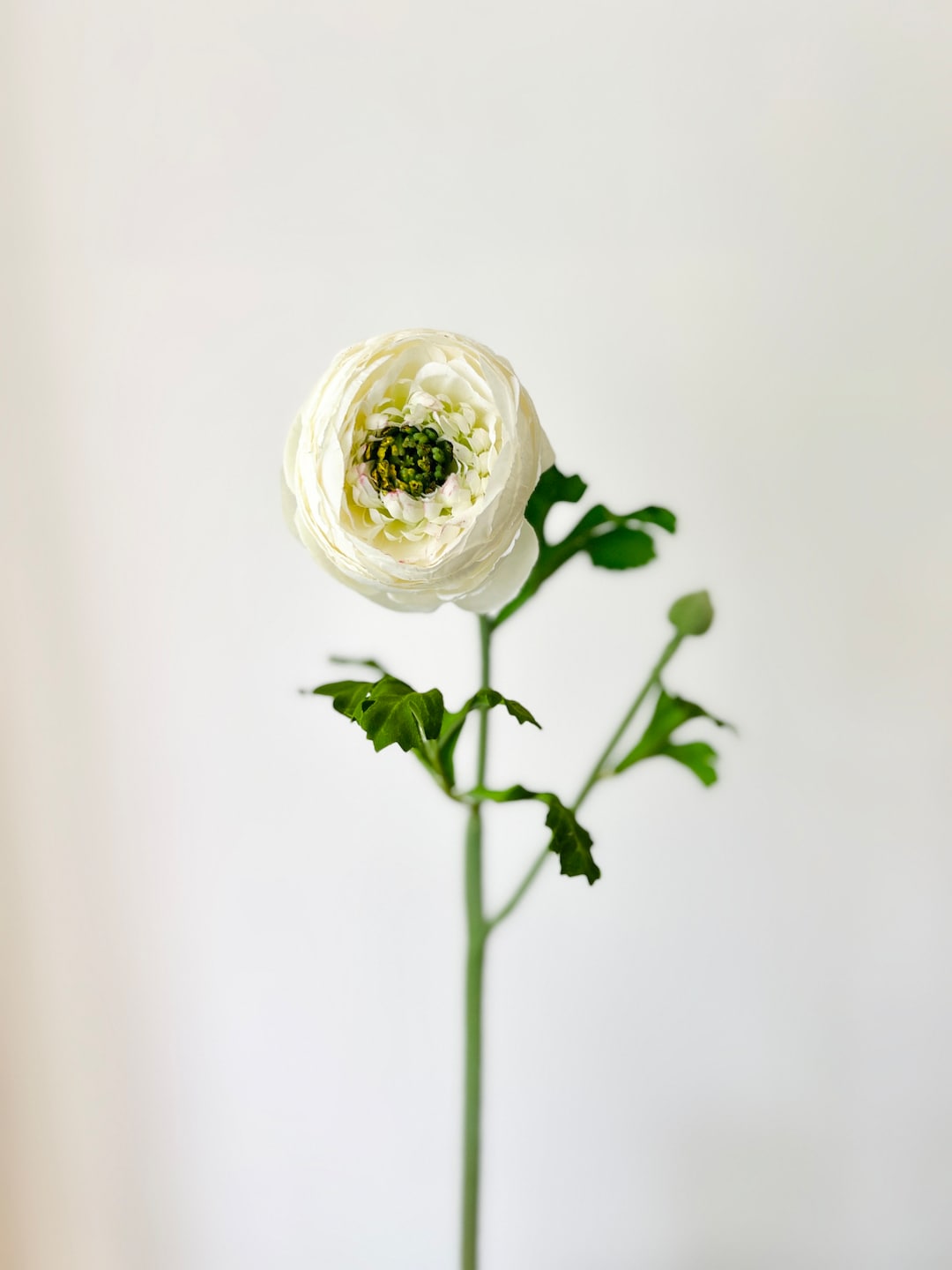 White Flower Stem, Faux Ranunculus Bloom, Wreath Making Floral ...