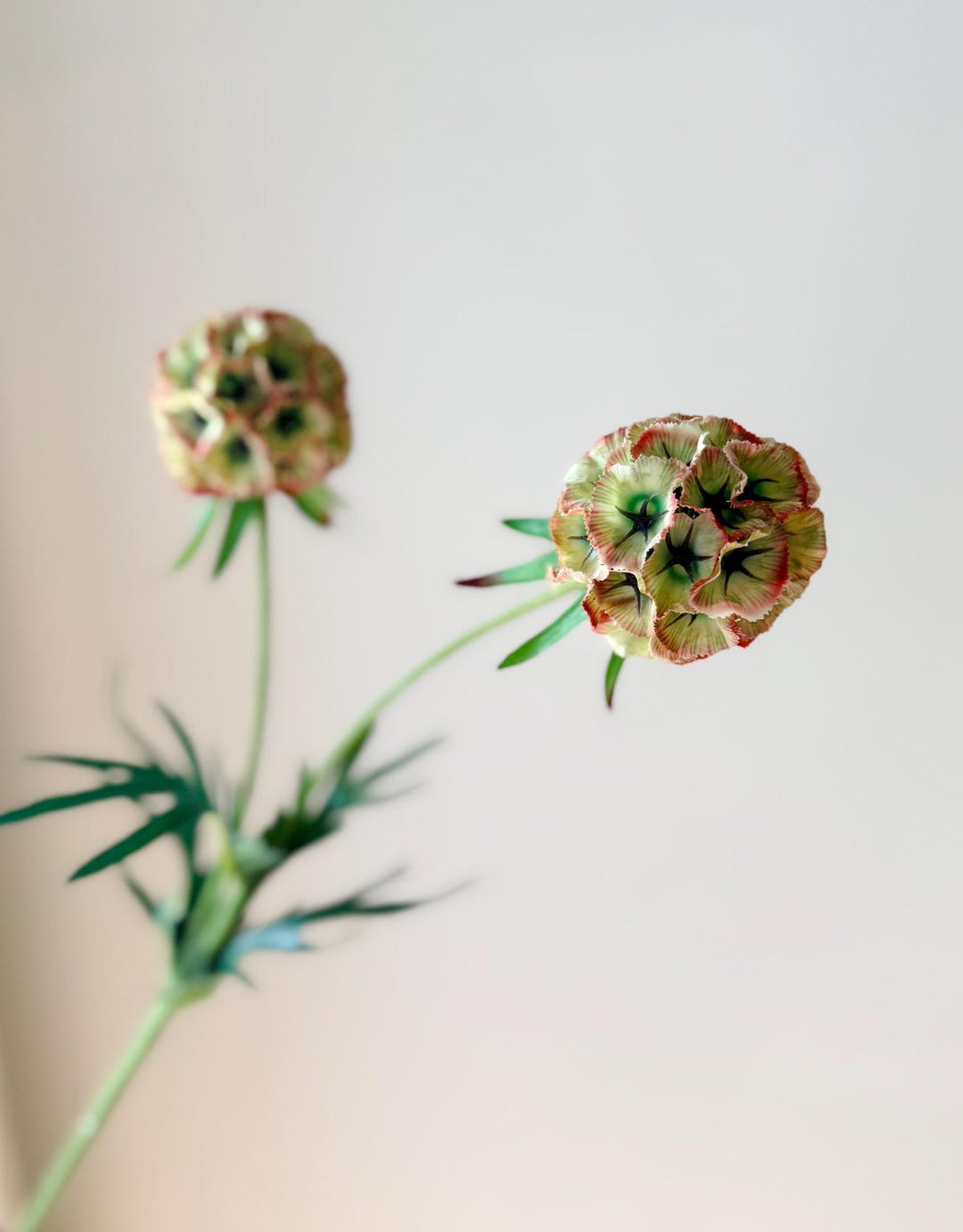 Artificial Flower Stem, Realistic Scabiosa Floral for Wreath Making ...