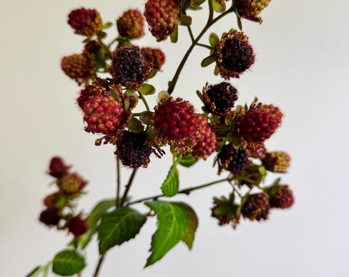 Realistic Artificial Raspberry Spray, Faux Berry Branch for Wreaths ...