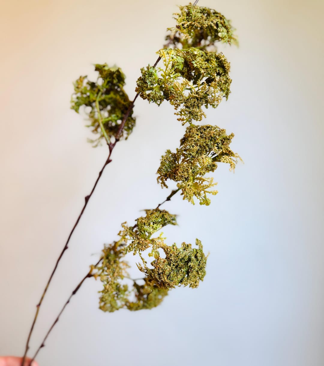 Artificial Moss Spray Stem for Wreath Making and Flower Arranging, Fall ...