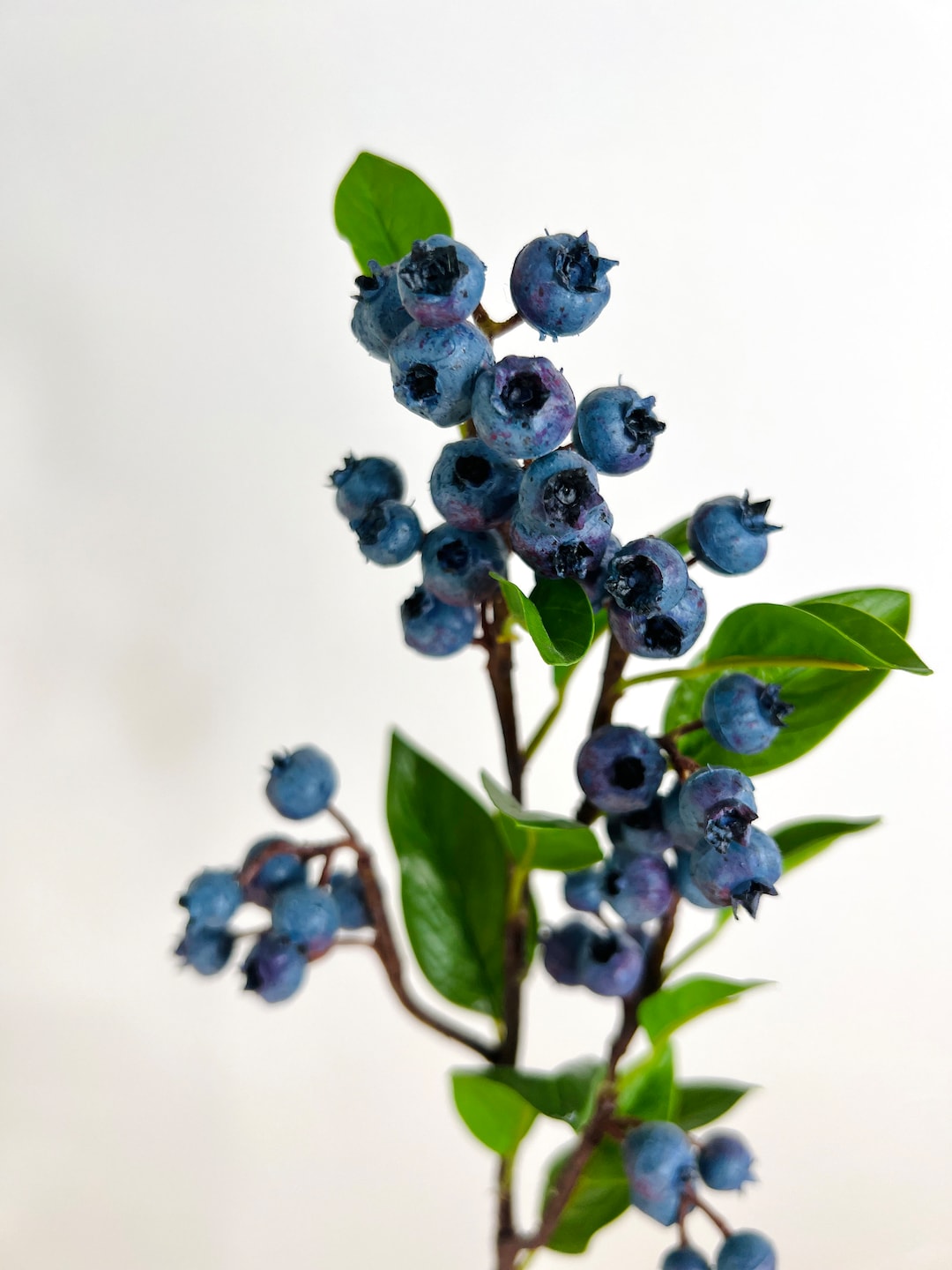 Artificial Blueberry Stem, Faux Berry Stem, Realistic Faux Fruit Spray ...