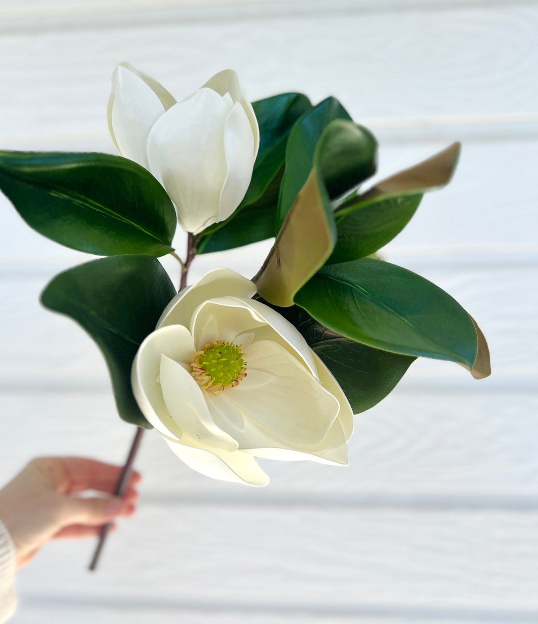 Magnolia Flowers Stem, Realistic Faux Magnolia Blooms and Leaves ...