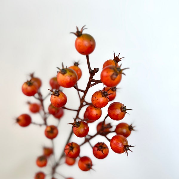 Faux Berries - Etsy