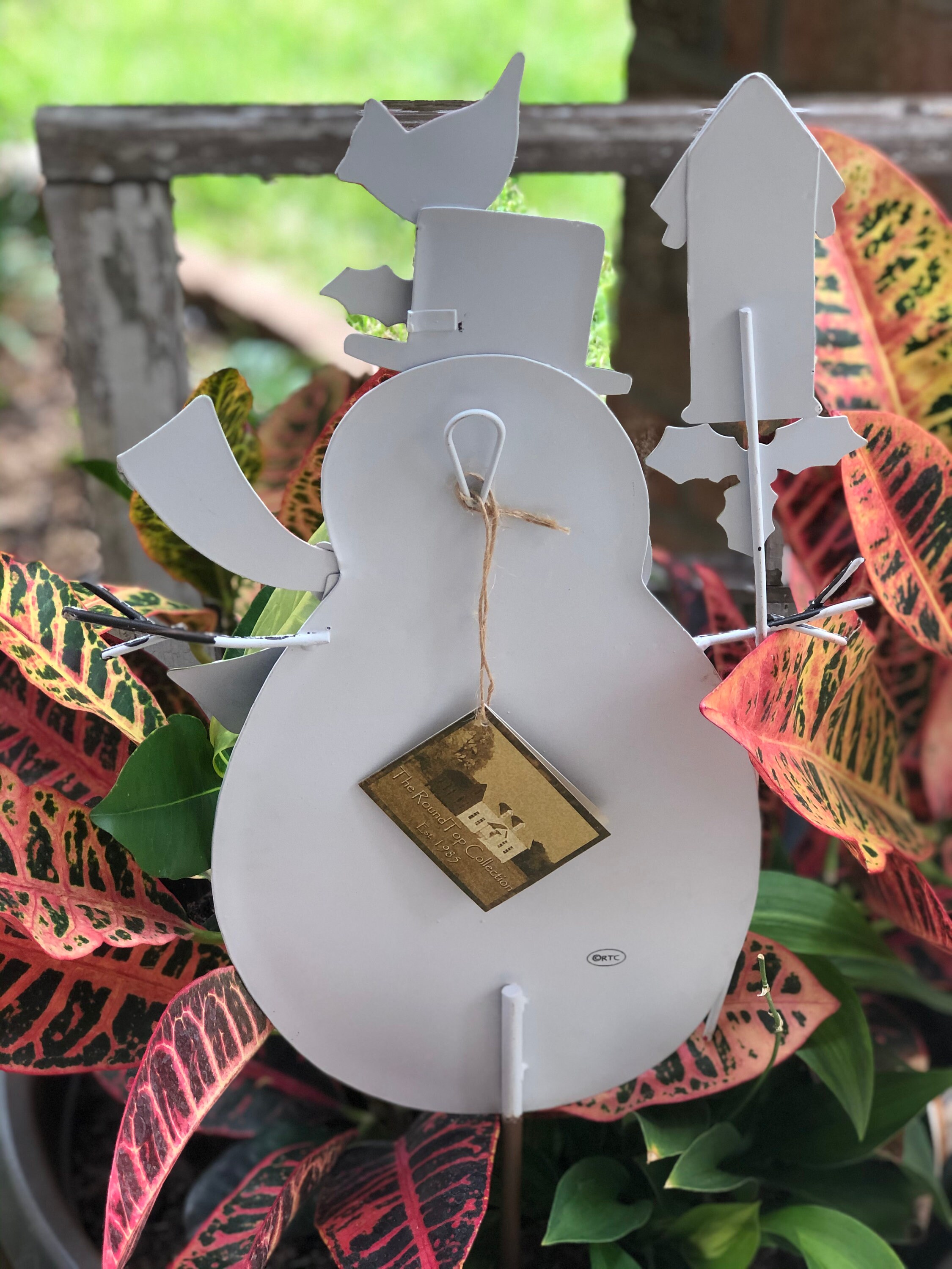 Round top collection - brooklynbezy