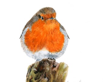 Robin bird print | Etsy