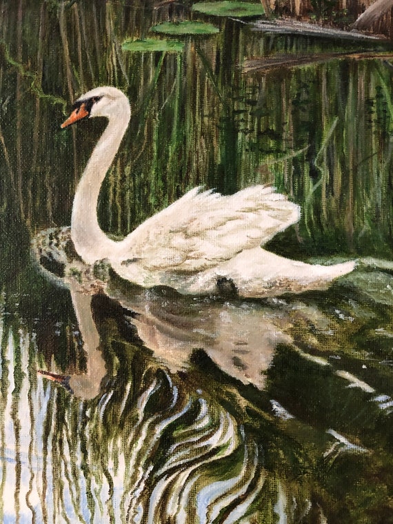 Beautiful Swan Art