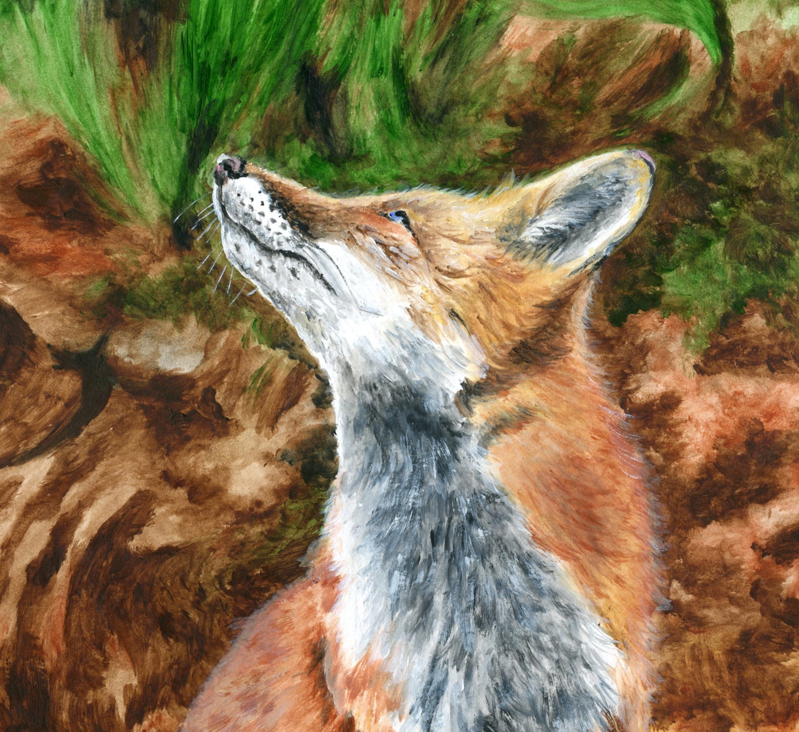 Red Fox Art Print Matted to 12" X 14" - Etsy Canada