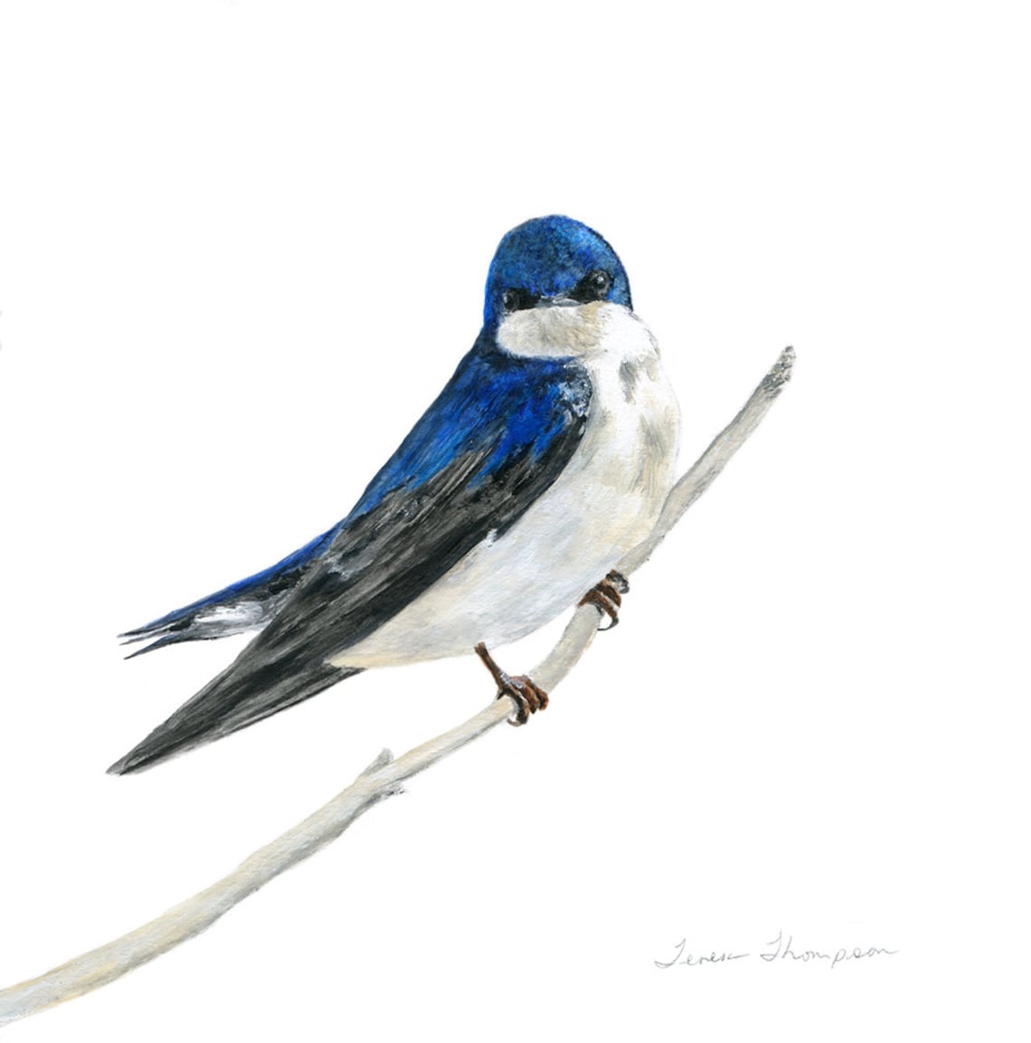 Tree Swallow Original Acrylic Painting, Blue Bird Painting, Blue Bird ...