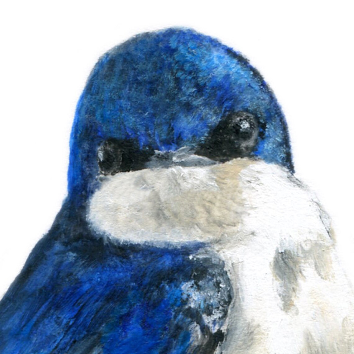 Tree Swallow Original Acrylic Painting Matted to 13" X 13" - Etsy