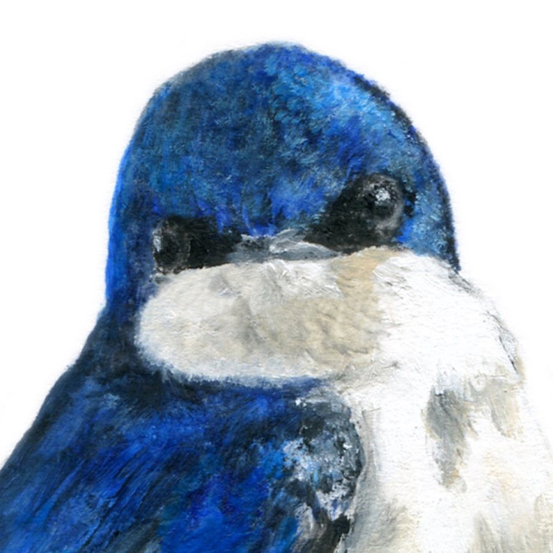 Tree Swallow Original Acrylic Painting, Blue Bird Painting, Blue Bird ...
