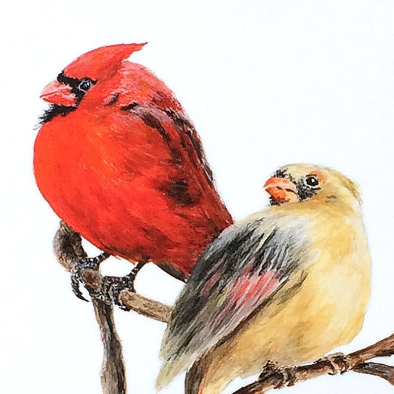 Cardinal Print, Cardinal Art, Cardinal Pair, Bird Print, Red Bird, Bird ...